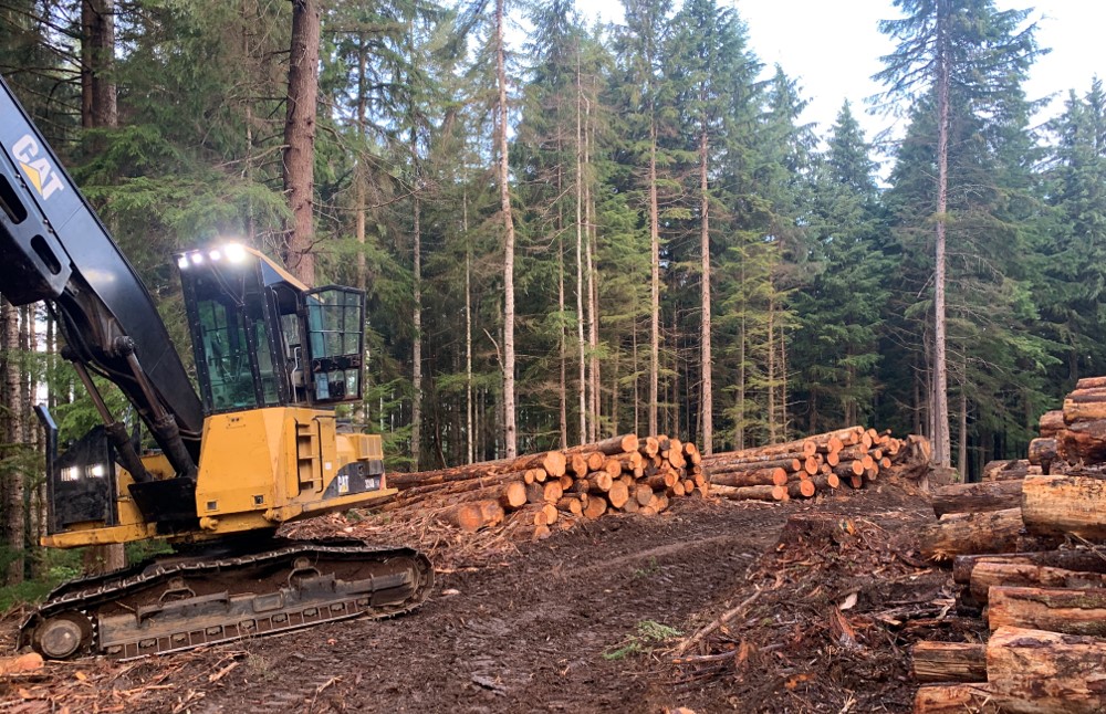 Astoria Public Works Department: 2024 Bear Creek Timber Harvest